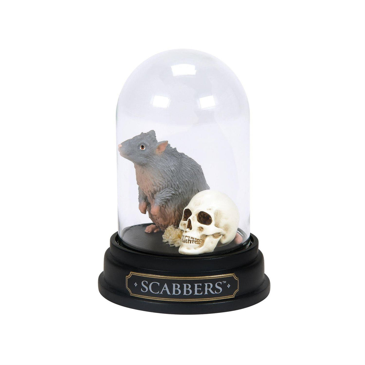 The Wizarding World of Harry Potter Scabbers Rat Curiosity Cloche 3.75 ...