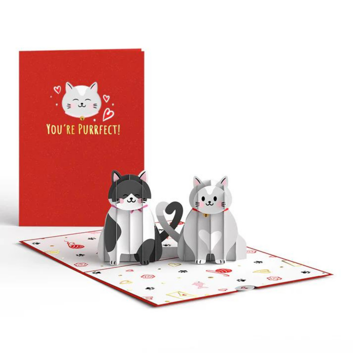You're Purrfect Love Cats Pop-Up Card – Steve's Hallmark