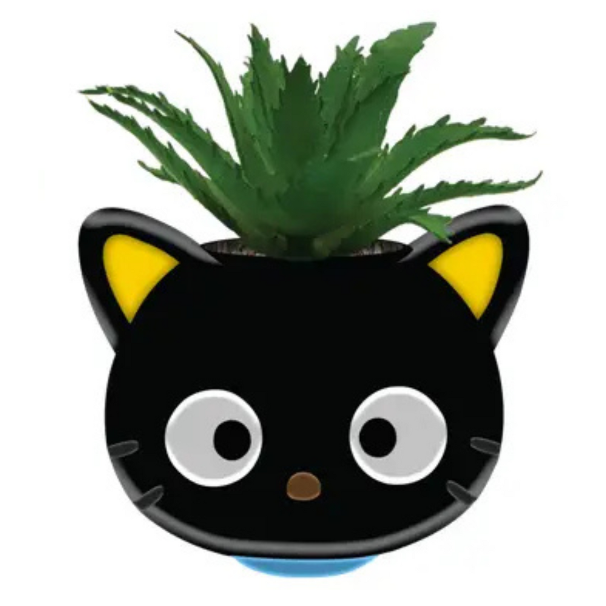 Sanrio Chococat Face Mini Ceramic Planter – Steve's Hallmark