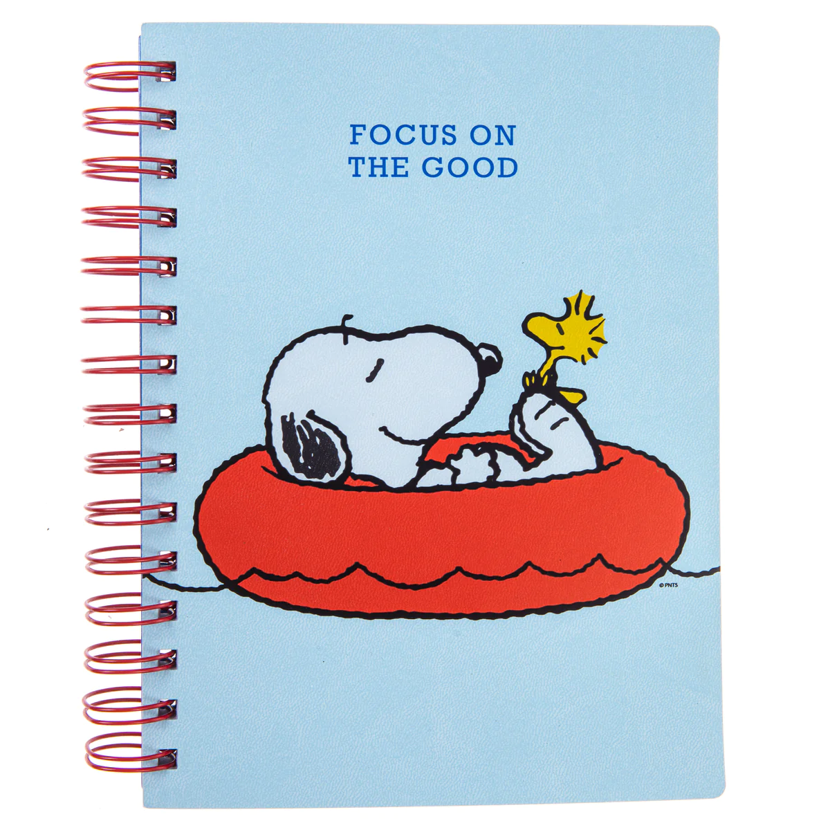 Peanuts Snoopy & Woodstock On Tube Float Focus on the Good Spiral Vega ...