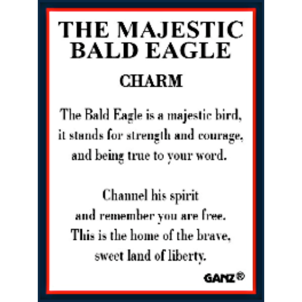 The Majestic Bald Eagle Token Charm – Steve's Hallmark