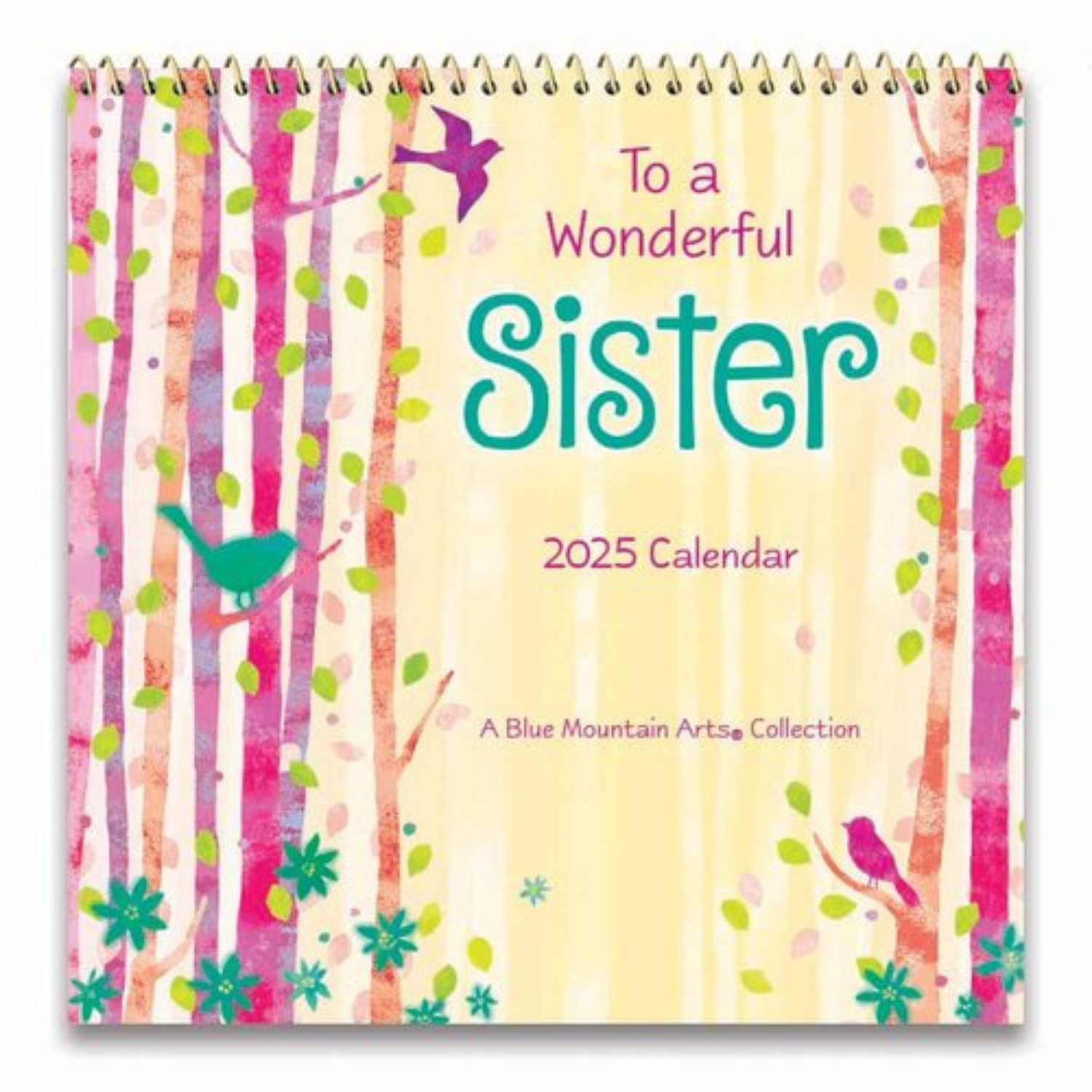 To a Wonderful Sister 2025 Calendar – Steve's Hallmark