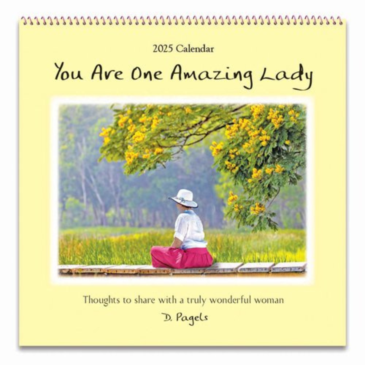 You Are One Amazing Lady 2025 Calendar – Steve's Hallmark