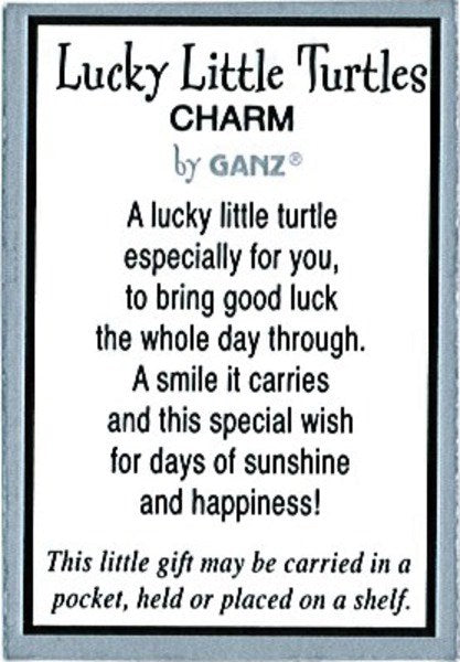 Lucky Little Turtle Pocket Token Charm – Steve's Hallmark