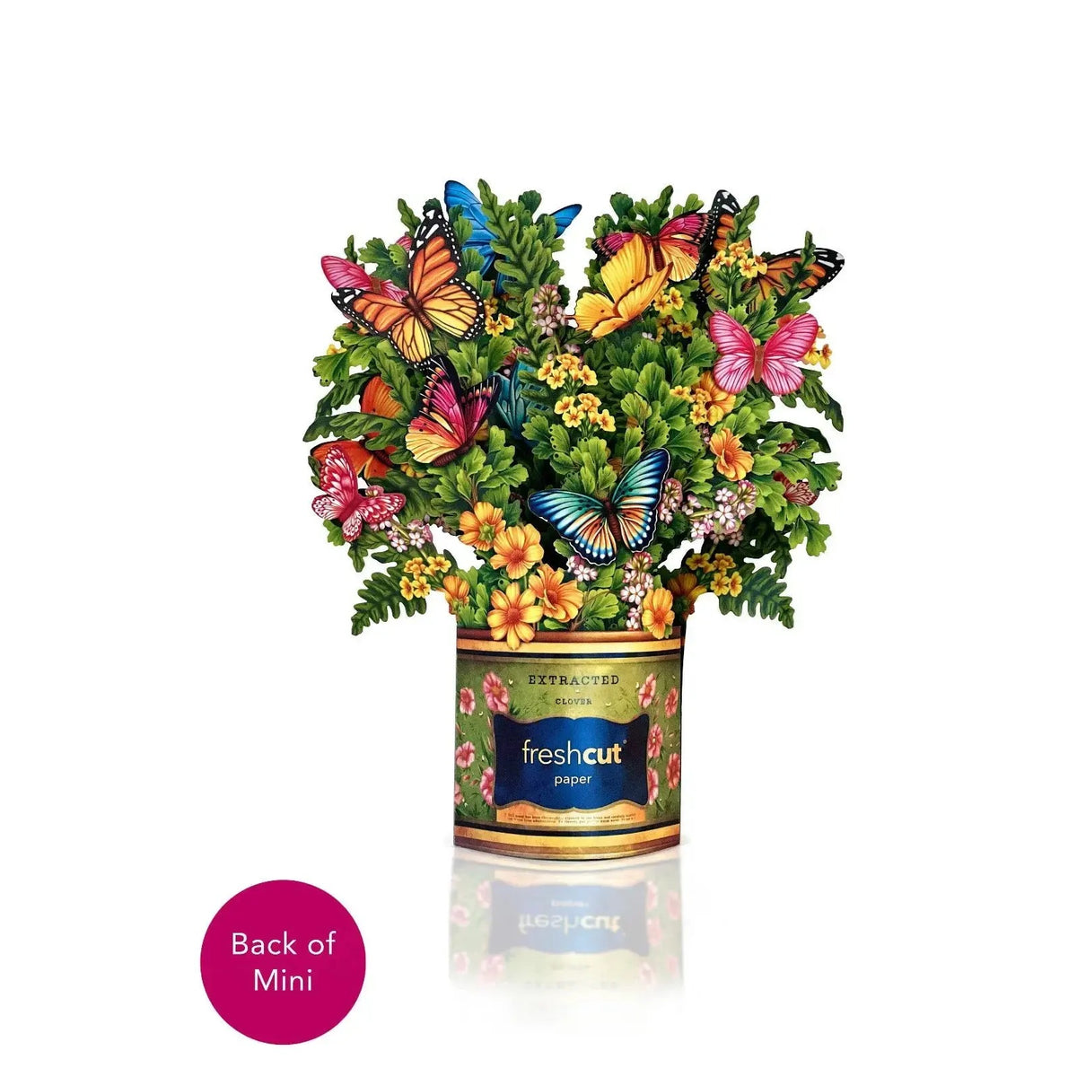 Mini Butterflies and Buttercups Pop-Up Card – Steve's Hallmark