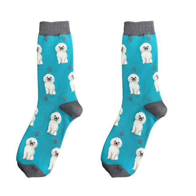 Poodle White Dog Happy Tails Socks – Steve's Hallmark