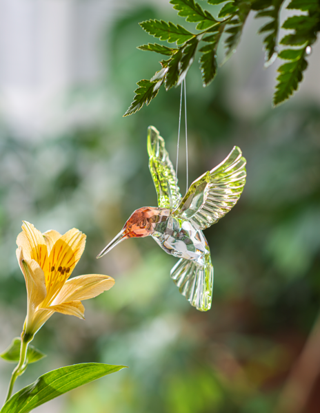 Red Throated Hummingbird Acrylic Hanging Figurine – Steve's Hallmark