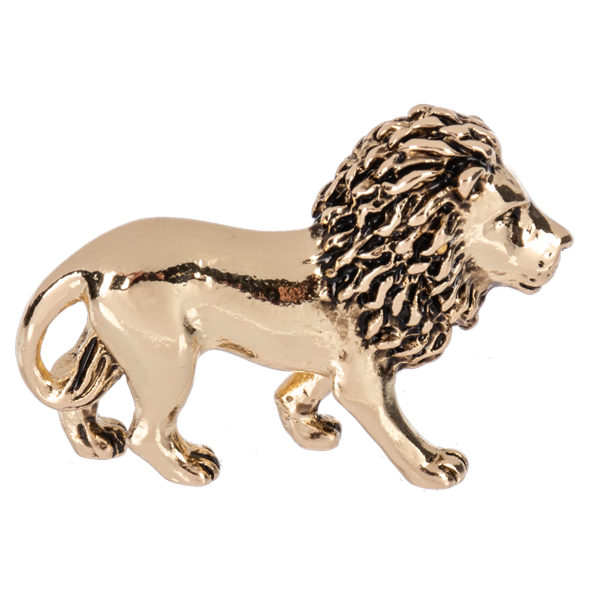 Be Brave and Courageous Lion Token Charm – Steve's Hallmark